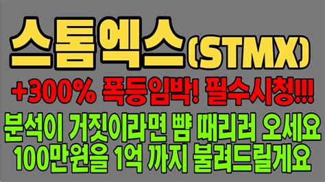 스톰엑스 스톰엑스코인 스톰엑스차트분석 코인전망 비트코인 이더리움 도지코인 Youtube