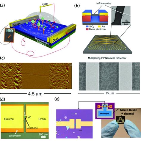 Graphene Field Effect Transistor Gfet Biosensor For The Detection Of Download Scientific