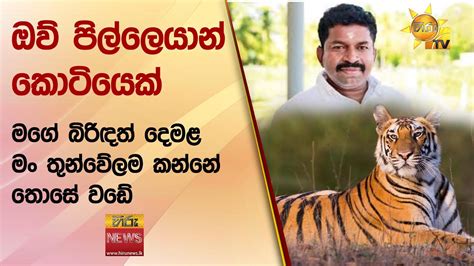 ඔව් පිල්ලෙයාන් කොටියෙක් මගේ බිරිඳත් දෙමළ මං තුන්වේලම කන්නේ තොසේ වඩේ Hiru News Youtube
