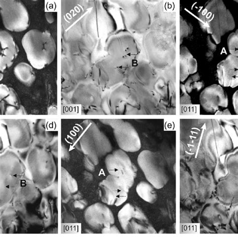 Tem Diffraction Analysis Showing Different Two Beam Conditions In Df
