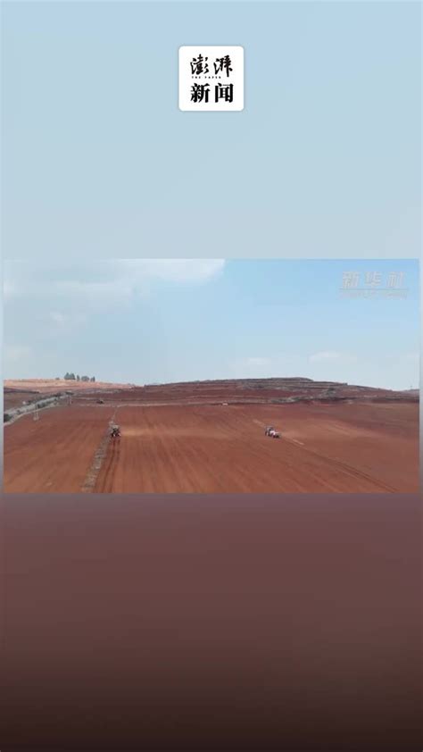 正值春耕季，会泽65万亩大春马铃薯开始播种凤凰网视频凤凰网