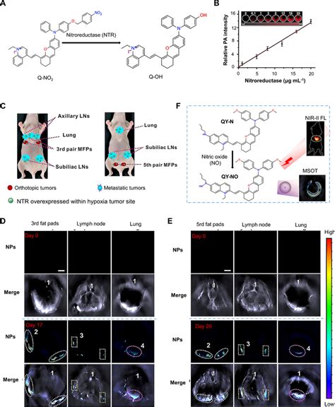 The Activatable Fluorescent Probe Based On Aiegens For Sensing Download Scientific Diagram