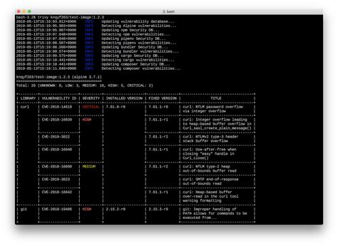Trivy Simple Comprehensive Vulnerability Scanner