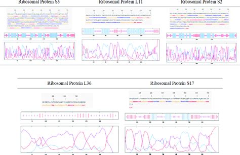 Secondary Structure Results Of Antigenic Proteins Amino Acid Sequences