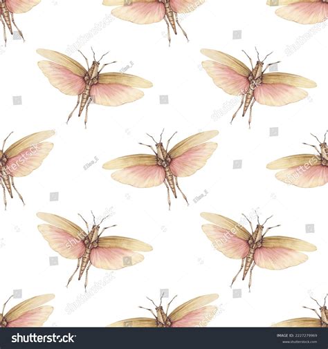 Vintage Watercolor Seamless Pattern Flying Grasshopper Stock Vintage Watercolor Seamless Pattern Flying Grasshopper Stock
