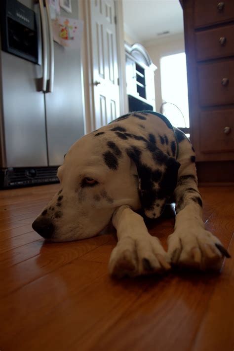 Brian Altmans Personal Demo Photos