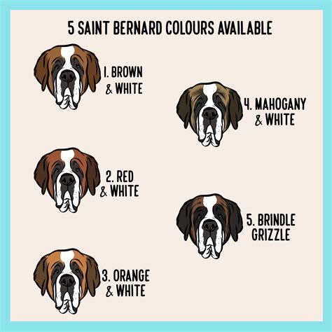 Saint Bernard Id Tag