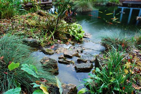 Koi Filters And Koi Pond Systems With Self Cleaning Filters