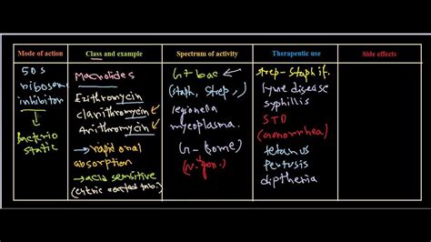Macrolides Antibiotics Youtube
