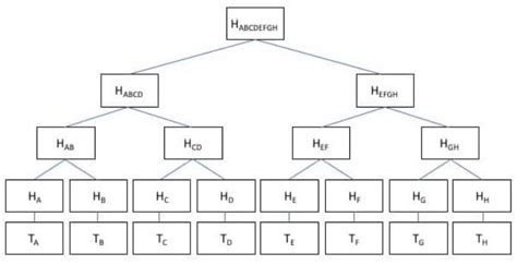 Merkle Root Hash Formation Download Scientific Diagram