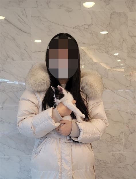 부산화명 2022 0006 코리안숏헤어 마이 책임분양 미니먼치킨전문 미니랙돌전문 미니브리티쉬숏헤어전문 미니스코티쉬폴드전문 미니러시안블루전문 미니강아지전문 미니고양이전문