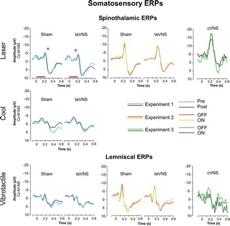 Erp Waveforms Each Diagram Represents The Erps Obtained At Group Level