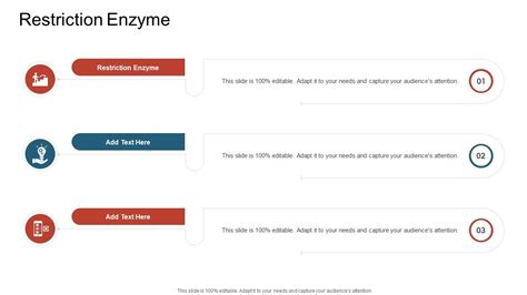Restriction Enzyme In Powerpoint And Google Slides Cpb