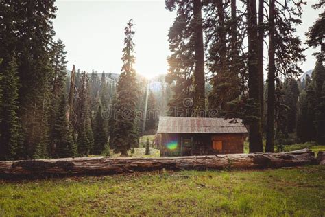 Scenic Shot Of A Fallen Log And A Wooden Cabin In The Middle Of A