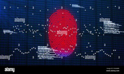 Fingerprint Scanning And Data Processing Image Over Binary Code