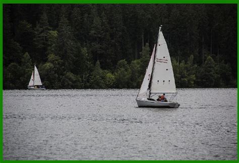 ai ability to scan distorted or non standard barcodes