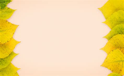 밝은 분홍색 배경에 프레임을 형성하는 모듬 다채로운 가을 잎 0명에 대한 스톡 사진 및 기타 이미지 0명 10월 11월