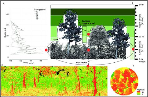 2 Overview Of The TLS Derived Parameters Capturing Forest Structure