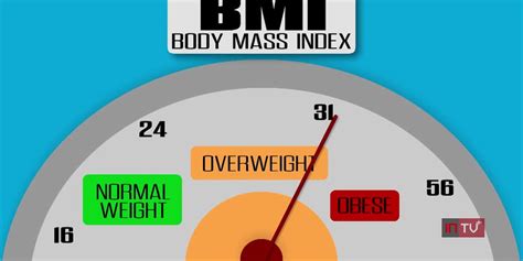 Medical Myth Buster The Accuracy Of The Body Mass Index