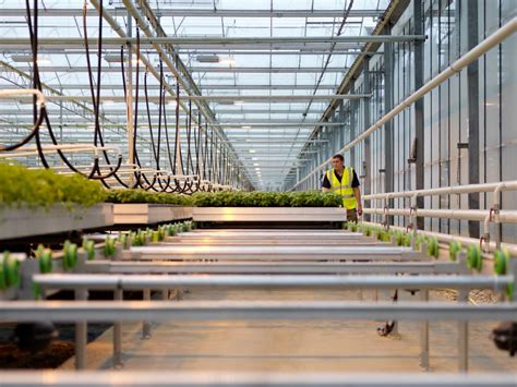 Kg Systems Manual Mobile Benches Transplant Systems