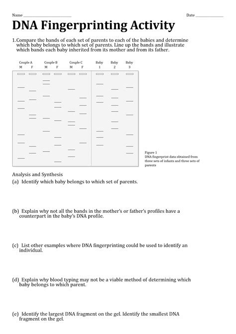 Dna Activity 1 Worksheet Dna Fingerprinting Answer Key At Loriann Day Blog