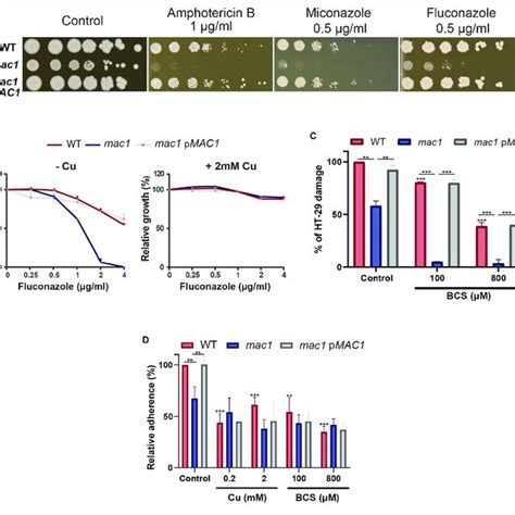 Gene Set Enrichment Analysis Of Rna Seq Data Rna Seq Data Of Cu