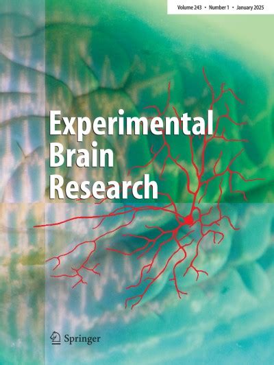 Stroke Long Term Forced Use Therapy After Sensorimotor Cortex Lesions