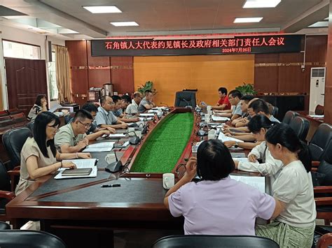 监督问效│石角镇人大开展人大代表约见镇长活动工作发展民生