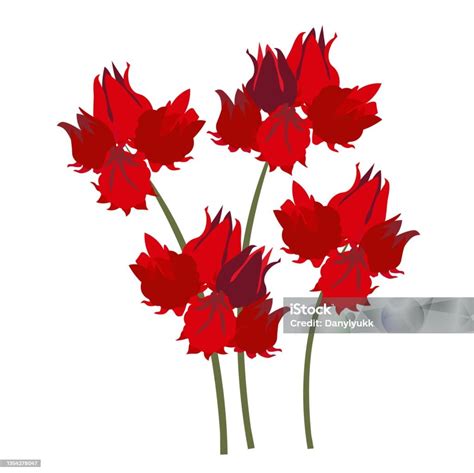 로젤 레드 플라워 핸드 그린 스케치 아트 디자인 요소 스토크 벡터 일러스트레이션 용 웹 인쇄용 패킹 위탁 0명에 대한 스톡 벡터