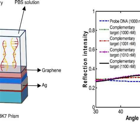 The Second Step Of Dna Hybridization Detection A Schematic Of Dna Download Scientific Diagram