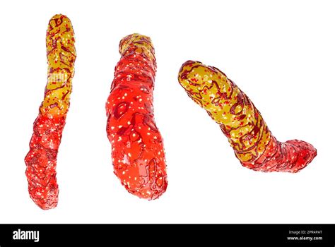 Spicy Chili Chamoy Worms Gummy Isolated On White Background High Quality Details 3d Rendering