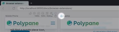 Browser Extensions Polypane