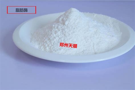 脂肪酶脂肪水解酶油脂水解酶Lipase食品级脂肪酶的作用和正常值 郑州天顺食品添加剂生产厂家