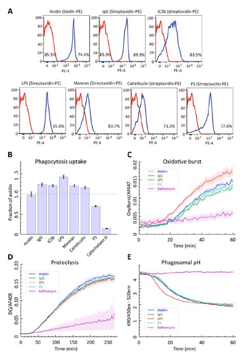Selected Reaction Monitoring Srm Validation Of Ligand Altered Download Scientific Diagram