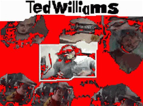 Ted Williams S