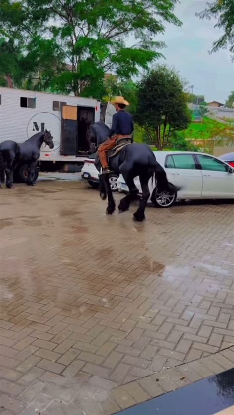 Busera Buseiramillhonario • Instagram Photos And Videos