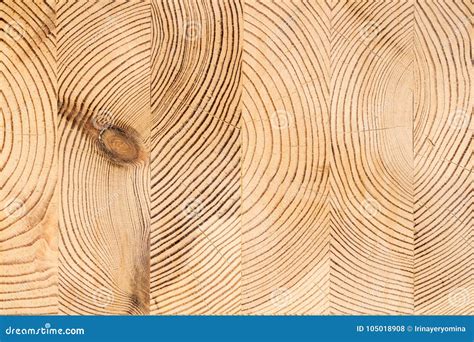 Wood Structure Background Lumber Industrial Wood Texture Timber Butts Background End Of A