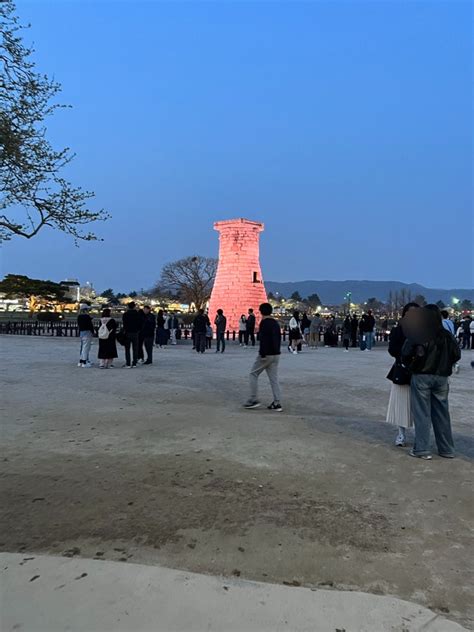경주 야경 투어 역사여행 첨성대 입장시간 높이 비단벌레차 추천 네이버 블로그