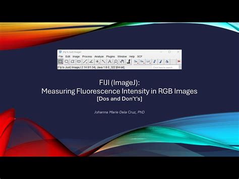 Imagej Measuring Fluorescence Intensity Fluorescence Analysis With
