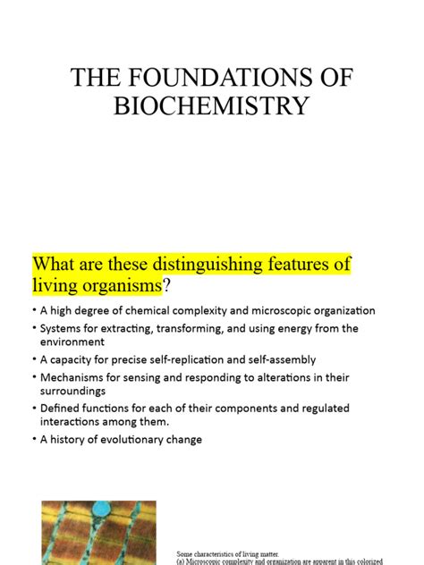 The Foundations Of Biochemistry Pdf