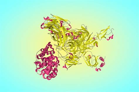 Complement C3b Over 6 Royalty Free Licensable Stock Illustrations And Drawings Shutterstock