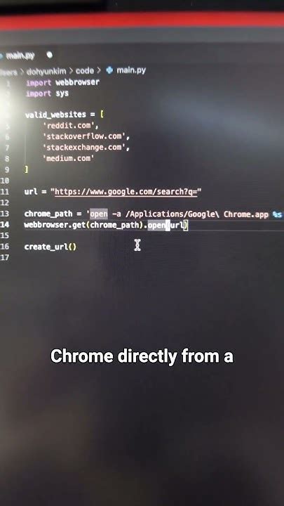 build a python automation with me coding softwareengineer developer