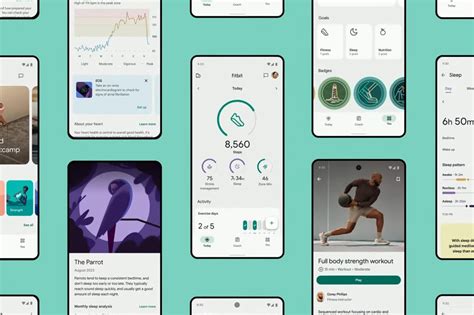 Fitbits Fancy New App Has Arrived