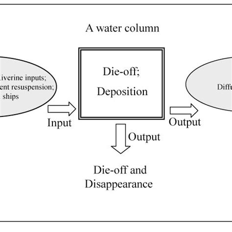 1 Conceptual Model Of Faecal Indicator Organism Transport In Natural