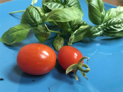 after a failed attempt last year my first of the year plenty more on