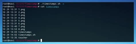 How Hackers Cover Their Tracks On An Exploited Linux Server With Shell