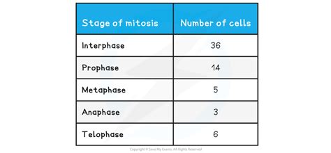 Calculation Of Mitotic Index Edexcel International A Level Biology Revision Notes 2018