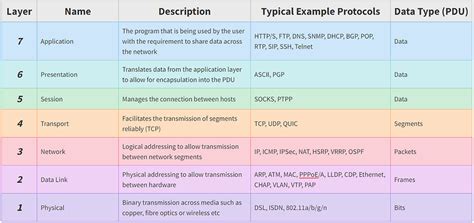 10 What Is A Network Networking Basics