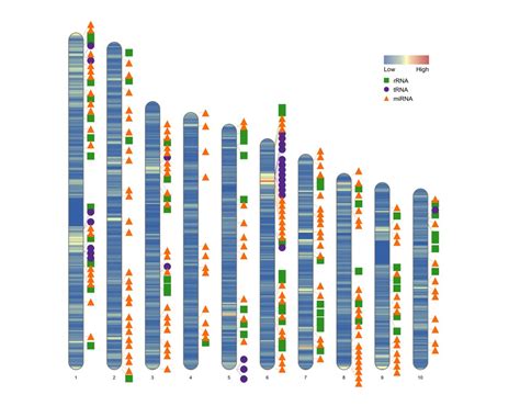 Python Vector Graphics At Collection Of Python Vector Graphics Free For