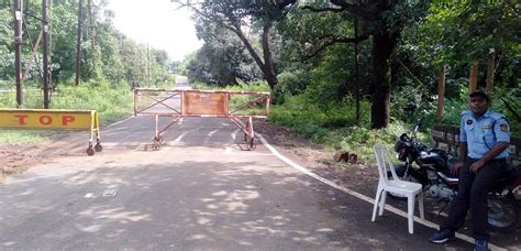 Bhopal Big Cat Keeps Forest Team On Their Toes No Fresh Sign Of Tiger